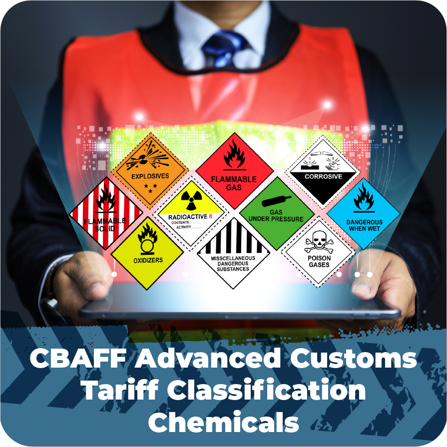 Customs :: IVS Training