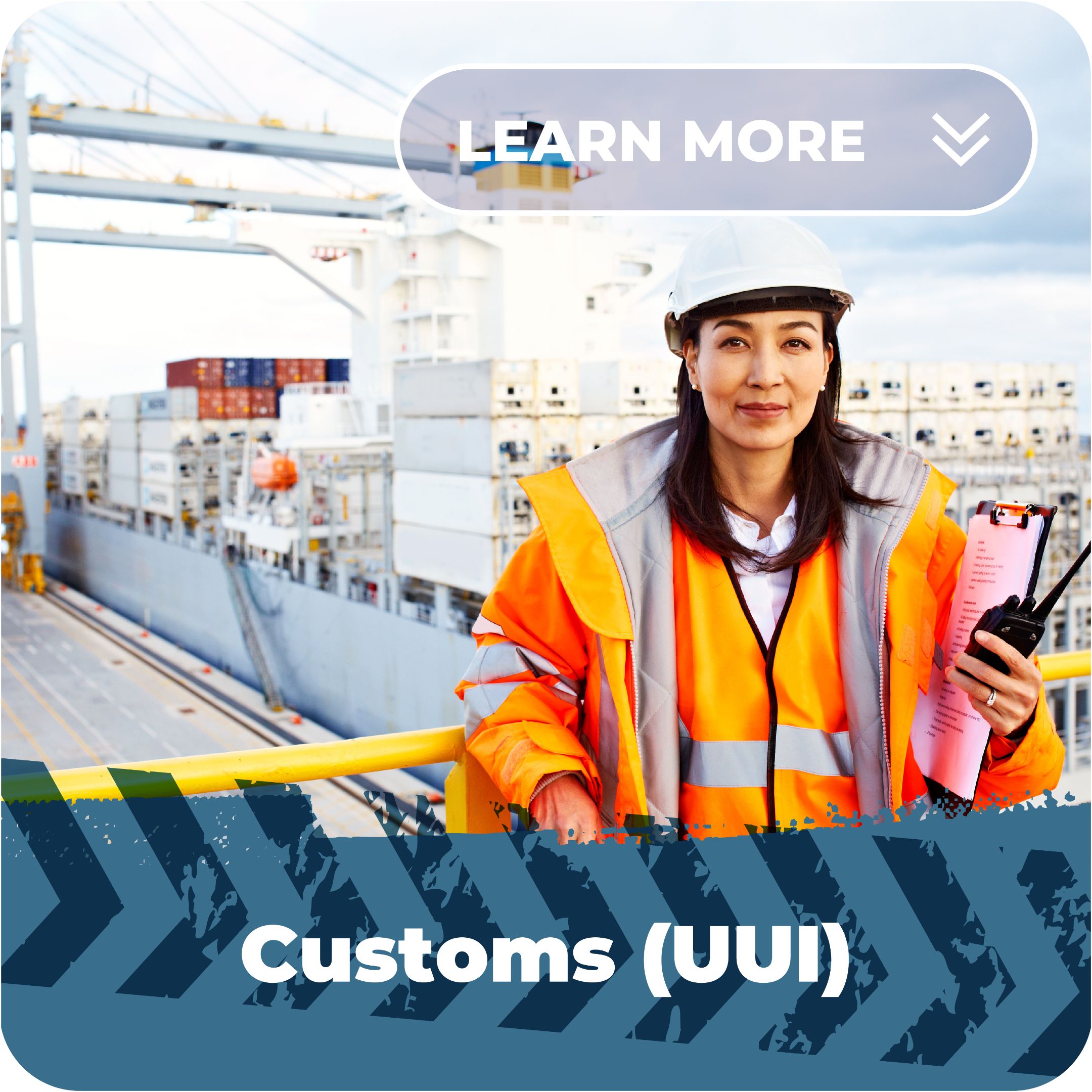 Biosecurity & Customs Training NZ | MPI-Approved | IVS