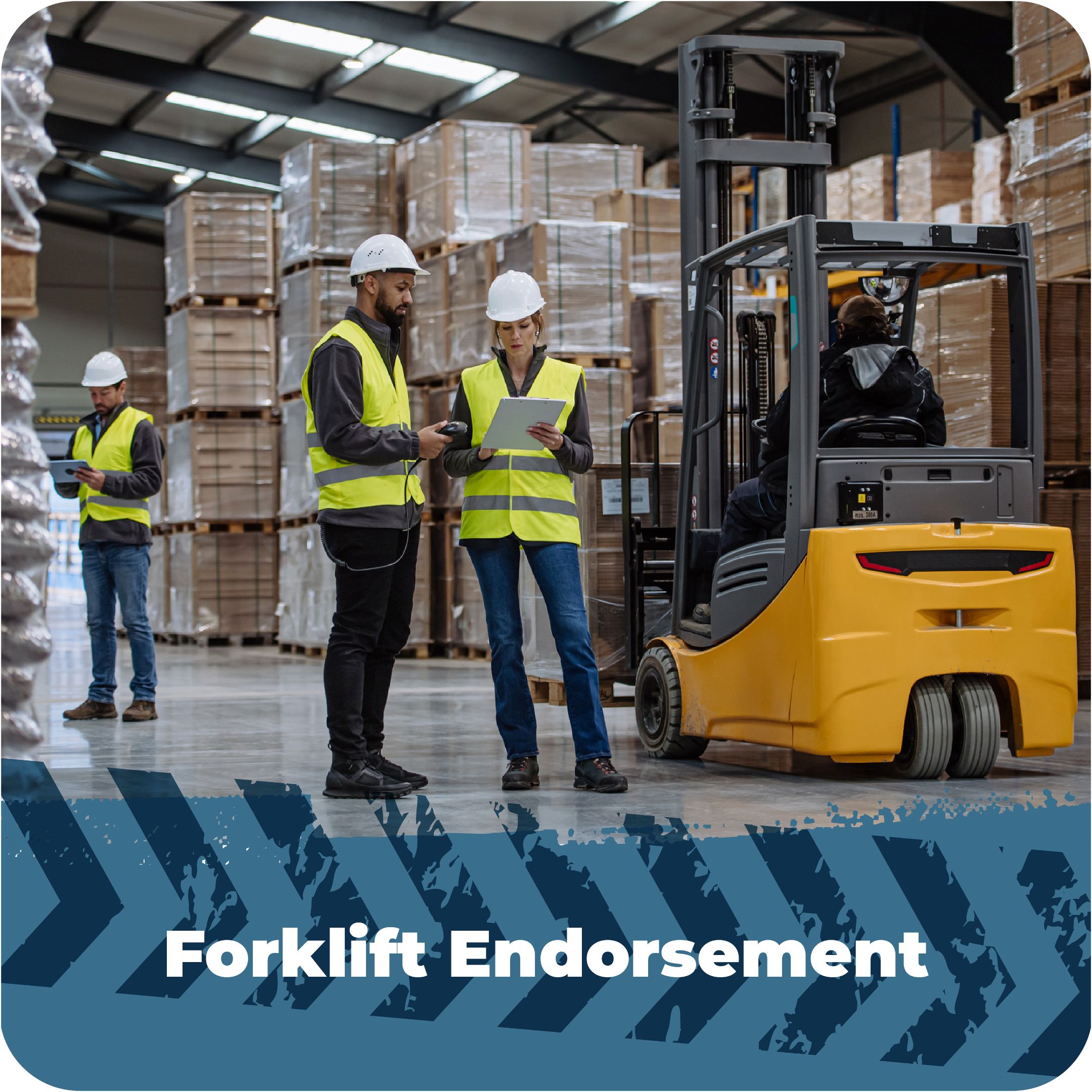 Other Training :: IVS Training