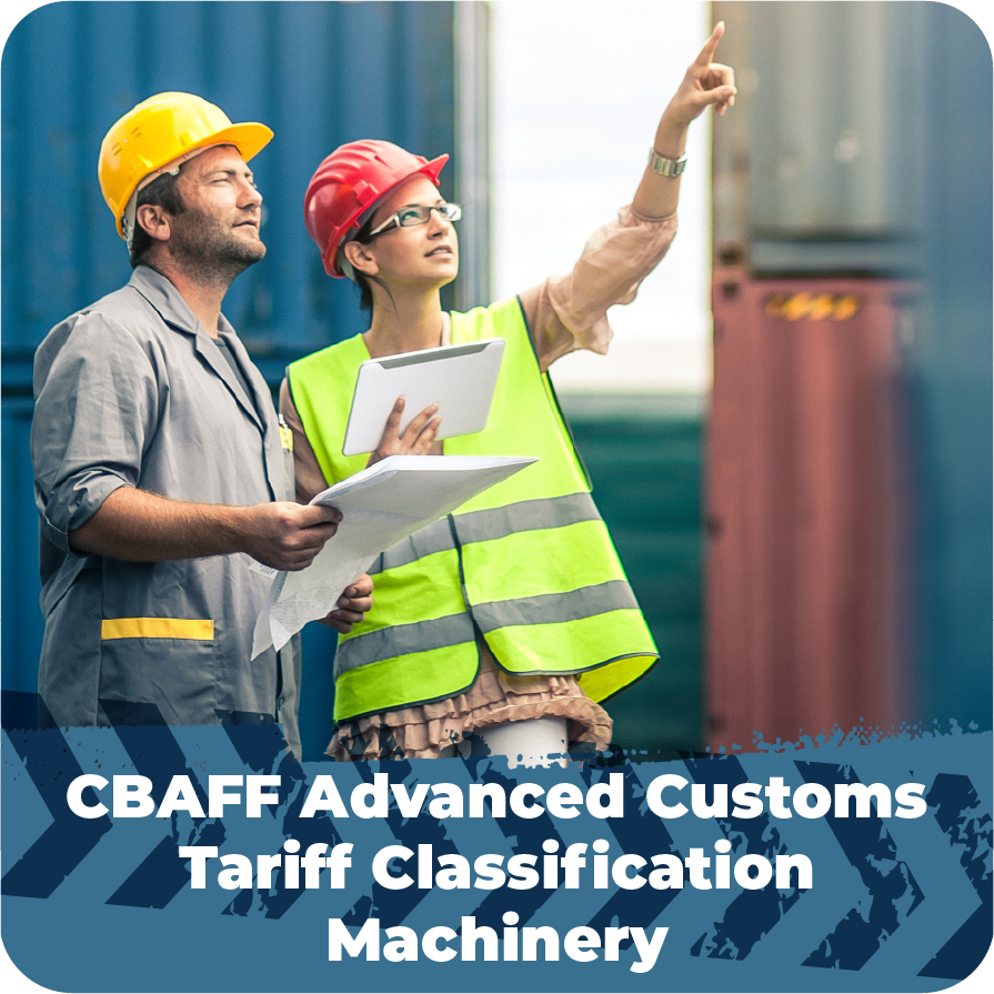 Customs :: IVS Training