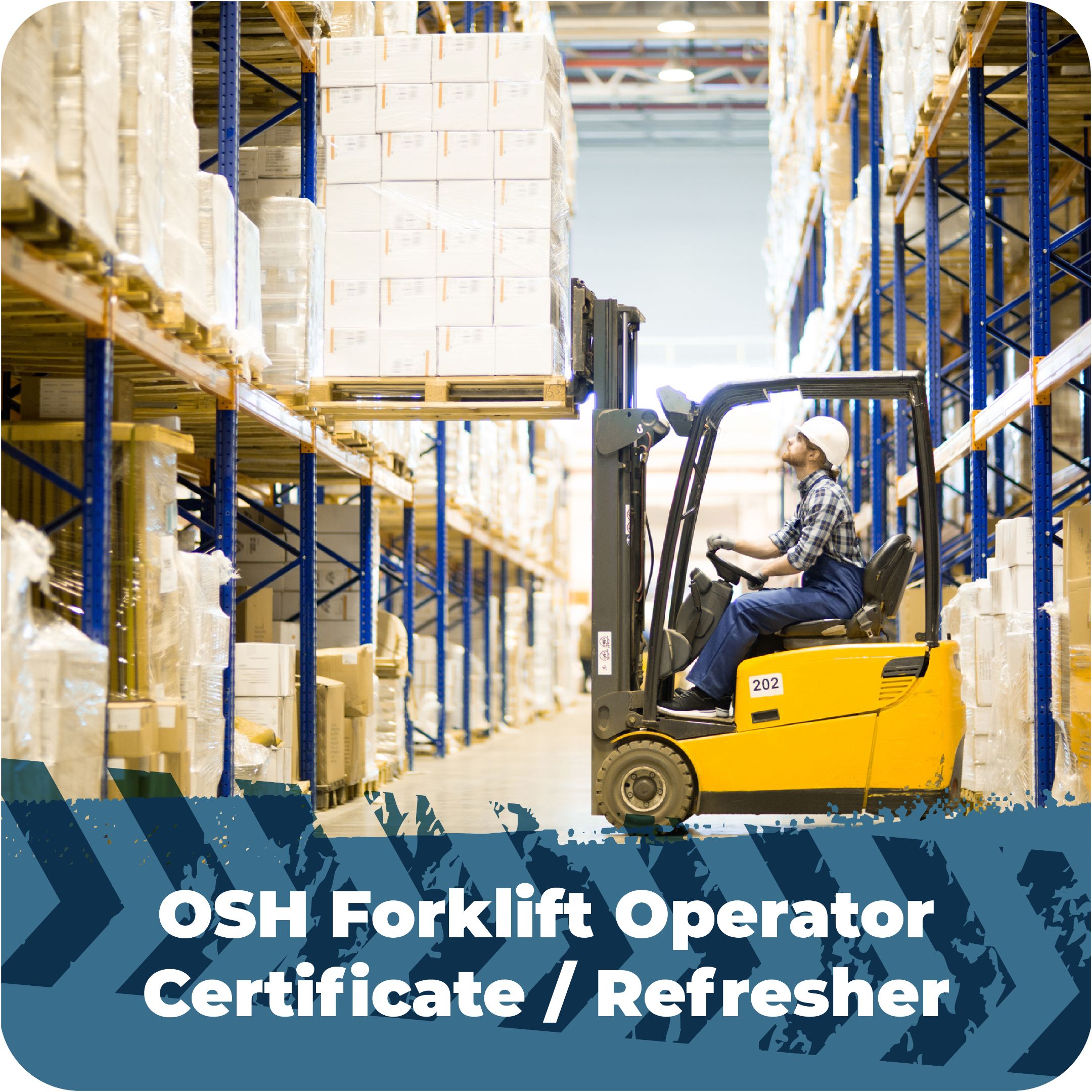 Other Training :: IVS Training