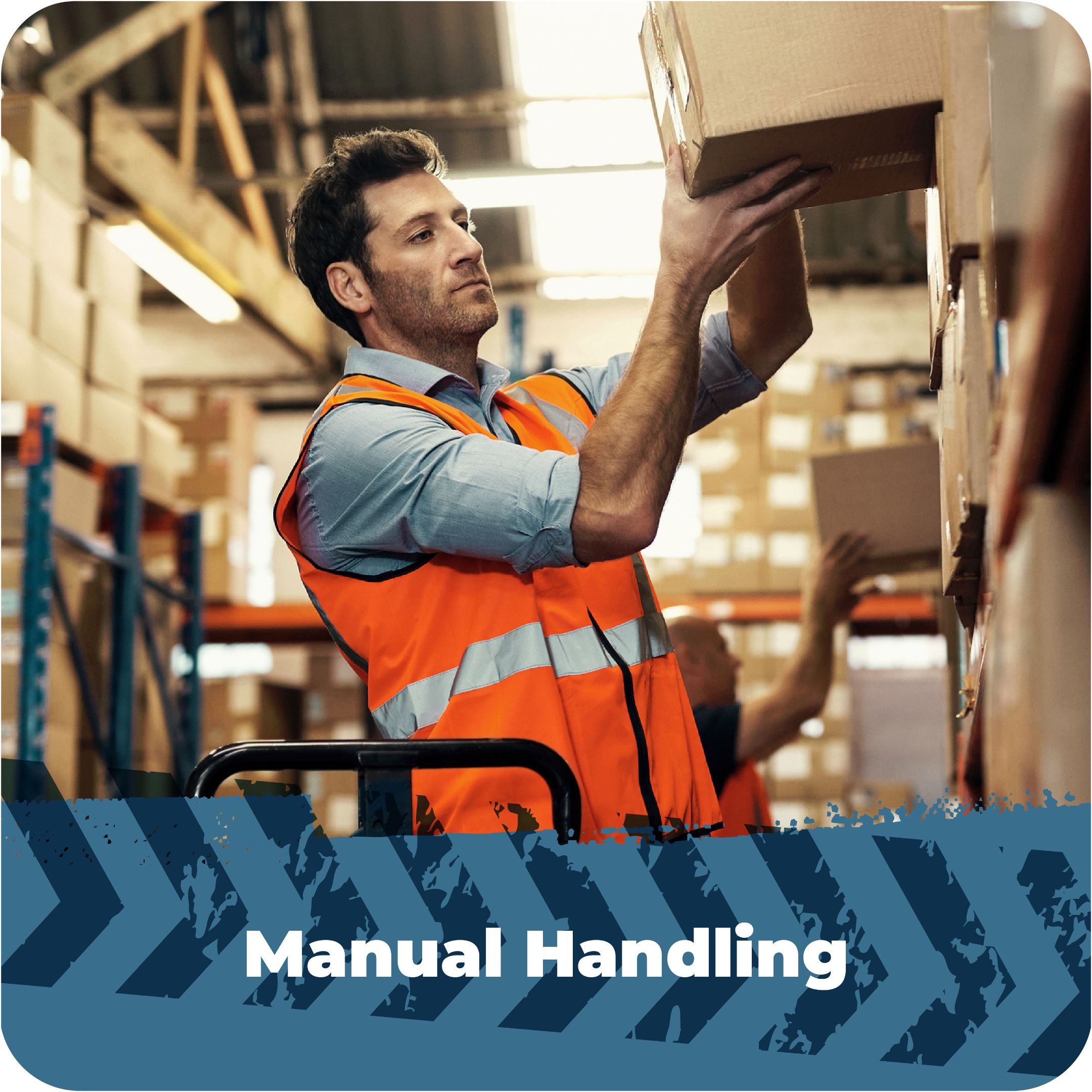 Other Training :: IVS Training